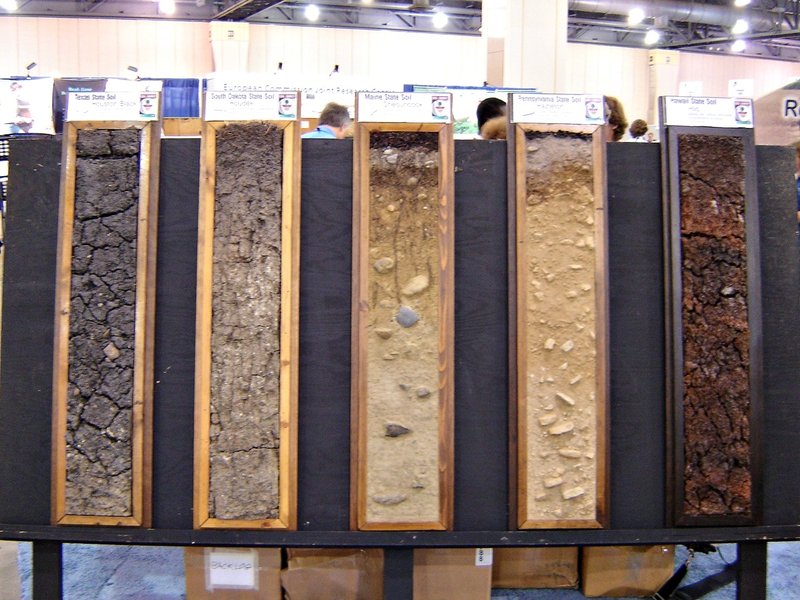 Imaggeo - Soil monolyths in the 18th World Congress of Soil Science ...
