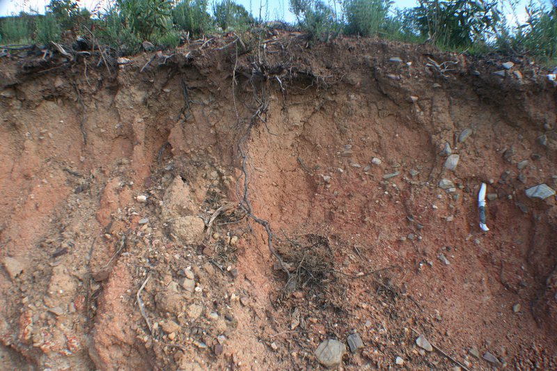 Imaggeo - Haplic Regosol on colluvial materials