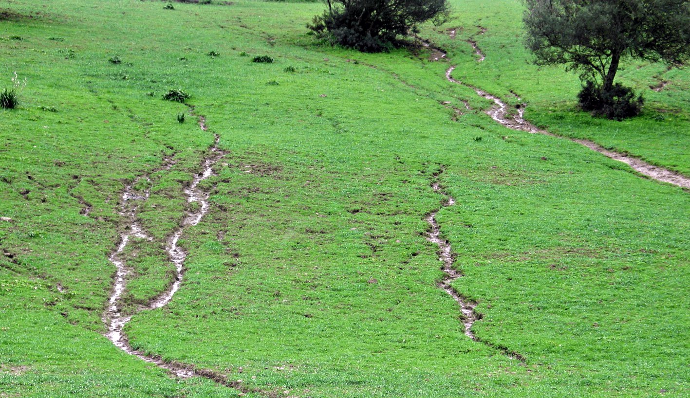 Imaggeo Rill Erosion Imaggeo Rill Erosion